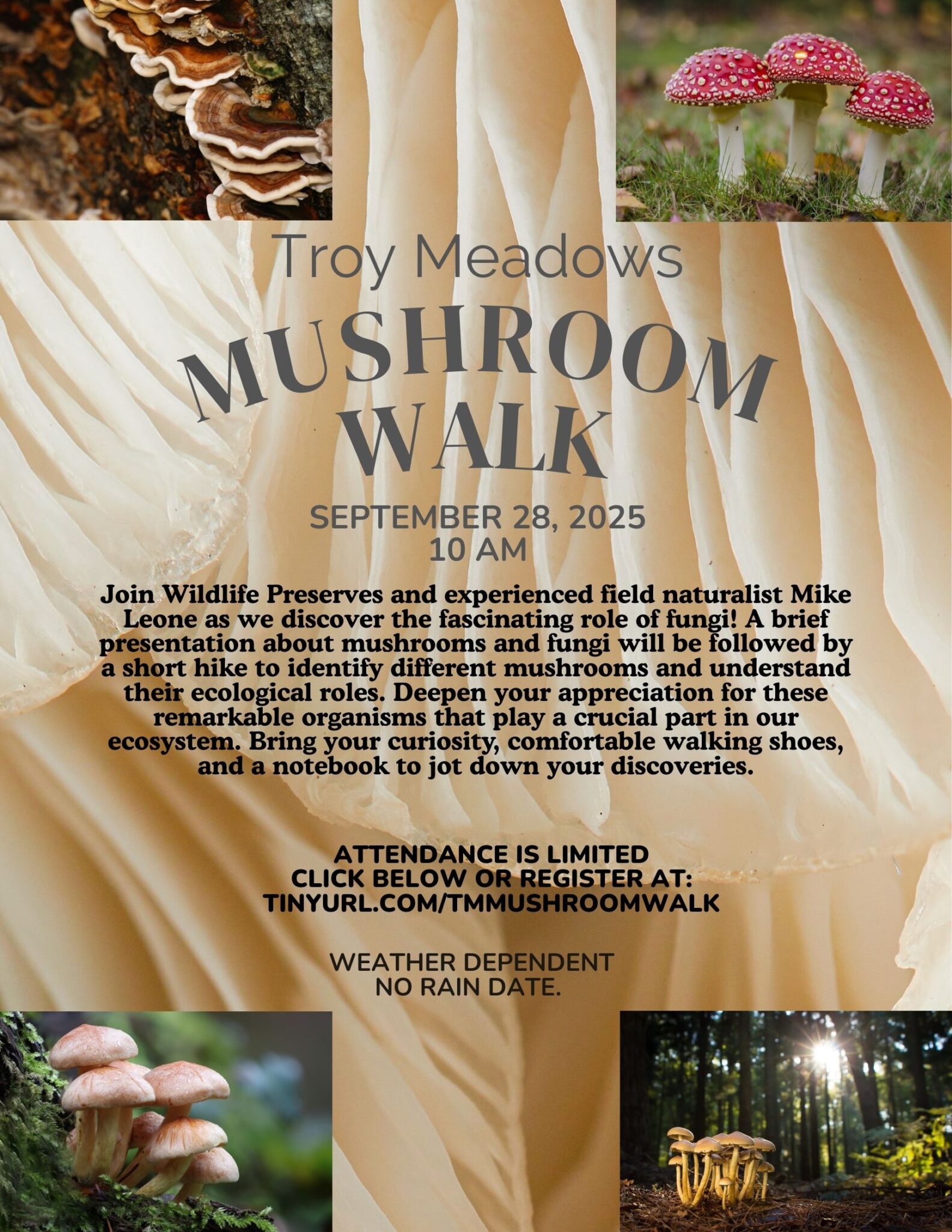 September 28: Mushroom walk – Wildlife Preserves