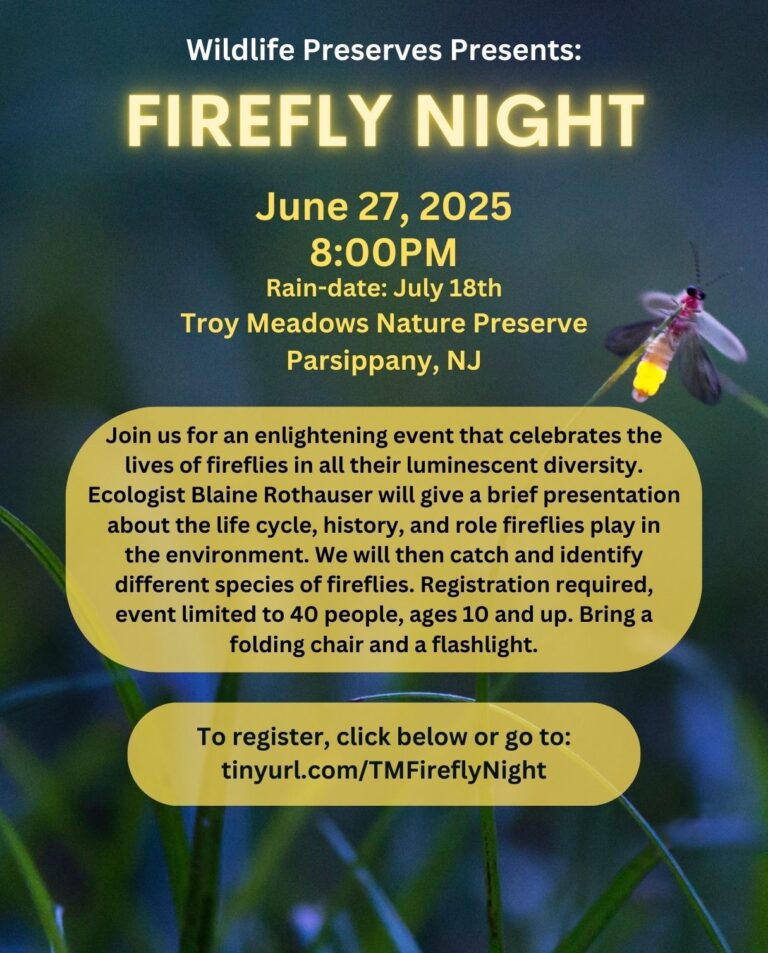 June 27: Firefly Night – Wildlife Preserves